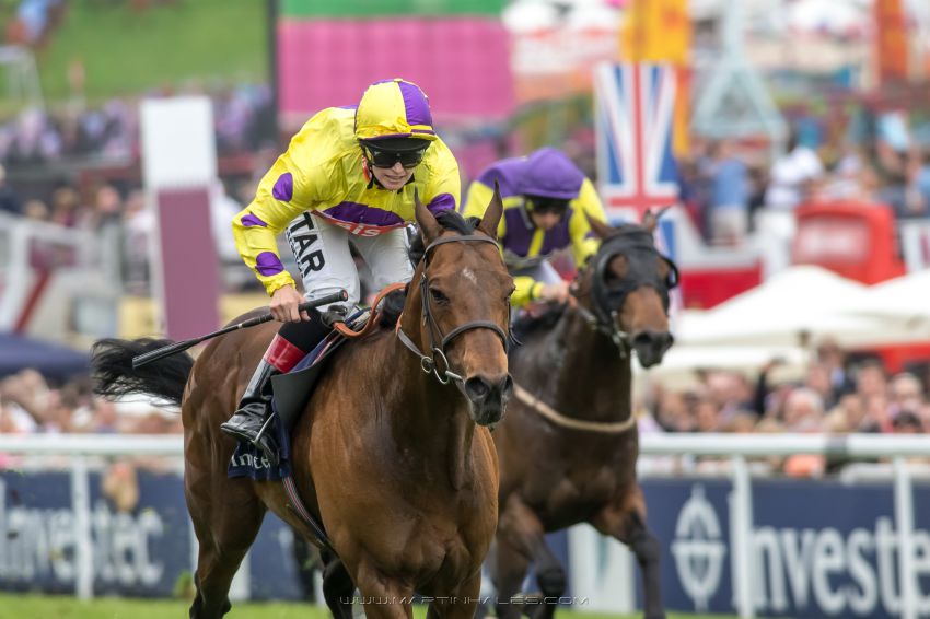 England Epsom Derby – Martin Hales