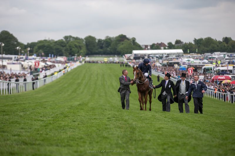 England Epsom Derby – Martin Hales